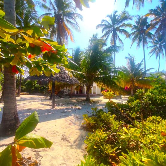 Properties for Sale in Zanzibar - Zaneda Properties